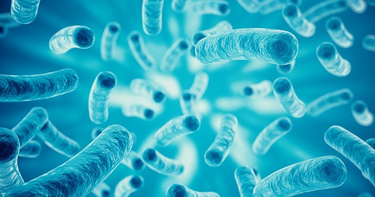 Scientists develop device that can detect bacteria in blood in 30 minutes